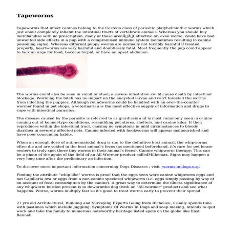 Faqs about tapeworms in dogs | PPTX