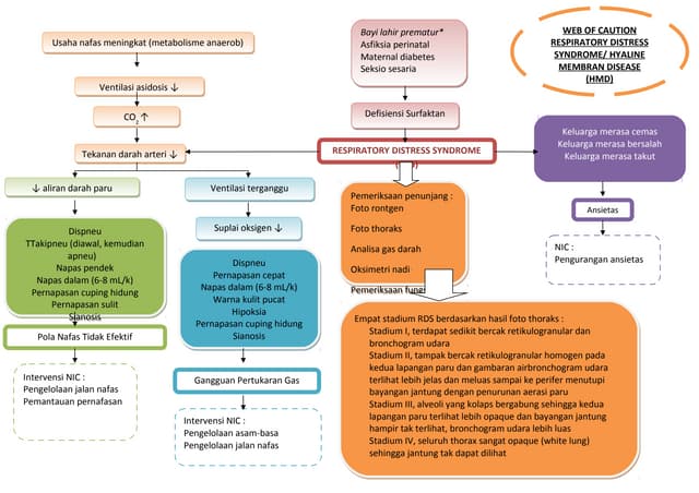 Respiratory Distress Syndrome (RDS).pptx