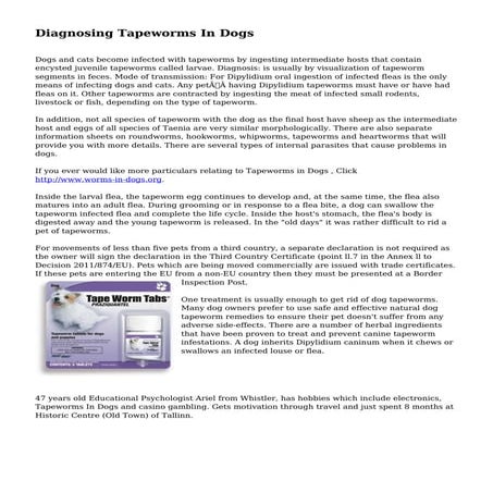 Diagnosing Tapeworms In Dogs | PDF
