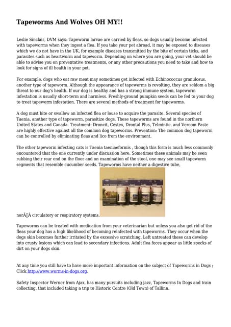 Client Handout - Fleas | DOCX