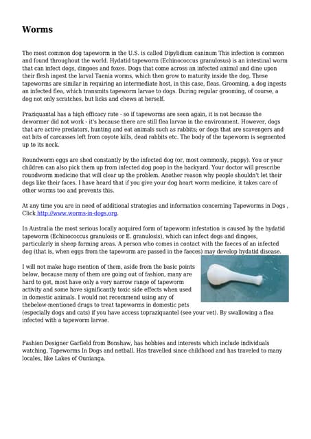 Devocalization | PDF