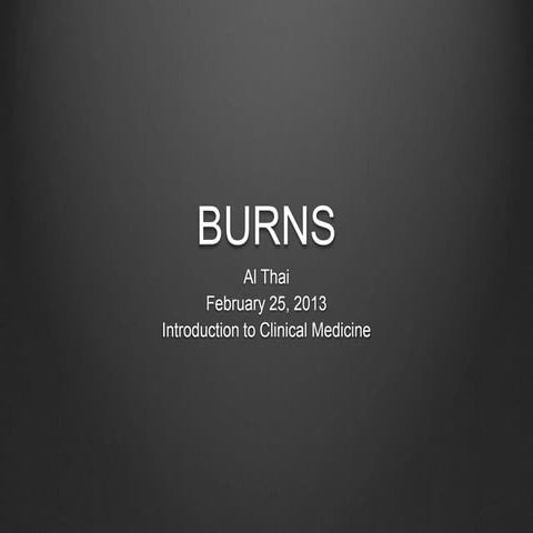 141584757-Burns-Presentation.pptx