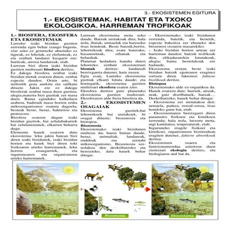 1415 dbh2 03 ekosistemak01 | PDF