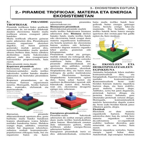 1415 dbh2 03 ekosistemak02 | PDF