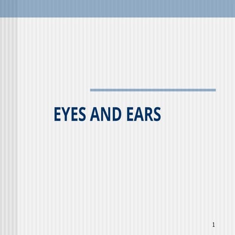 14163187.ppt, eyes and ear slide Edsu lecture | PPT