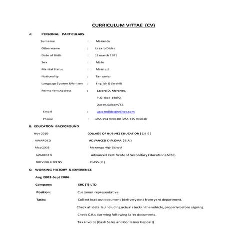 CV2 2 | DOCX | Sales | Business