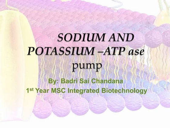 Calcium atpase pumps | PPTX | Biological Sciences | Science