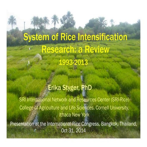 1424 - System of Rice Intensification Research - A Review | PDF