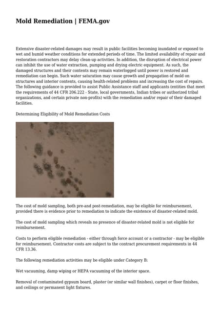 Checklist for Mold Remediation | PDF | Indoor Environmental Quality ...