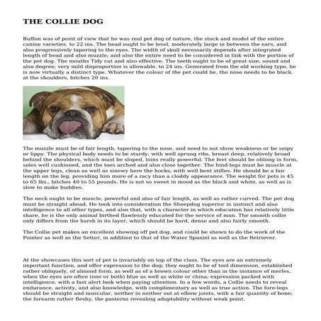 THE COLLIE DOG | PDF