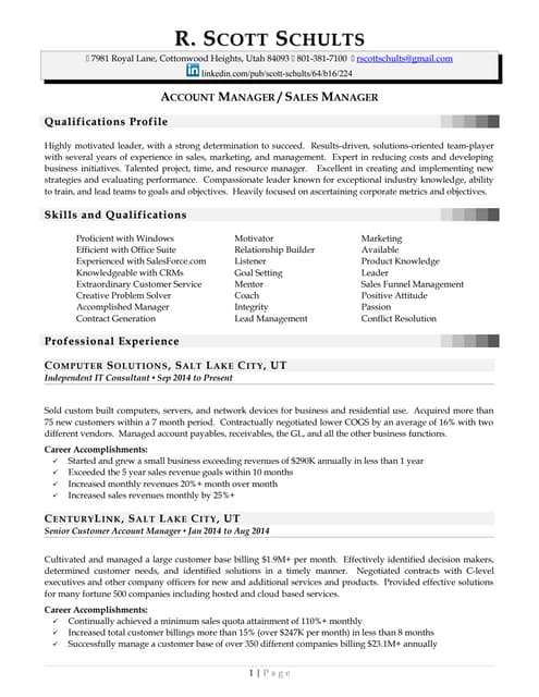 Davids Resume BDM | PDF