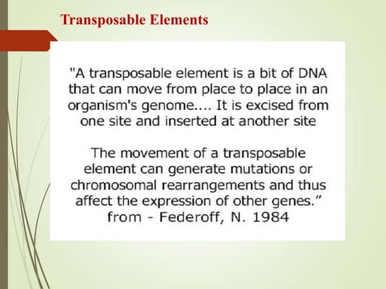 Transposable elements in prokaryotes.ppt | Programming Languages ...