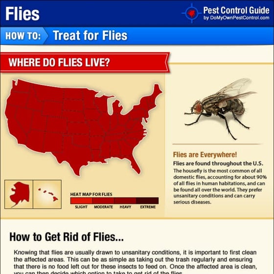 How to Get Rid of Spiders | PDF