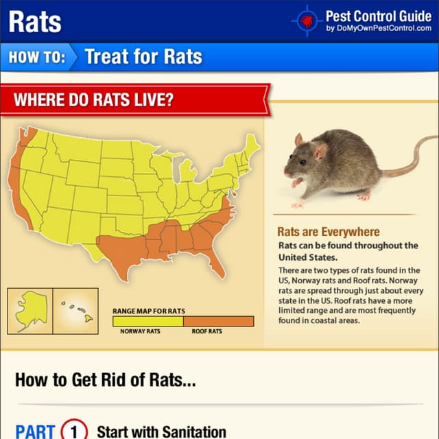 How to Get Rid of Rats | PDF