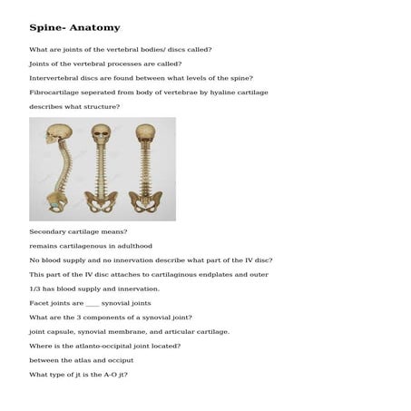 Anatomy and Terminology of the Spine | PPTX