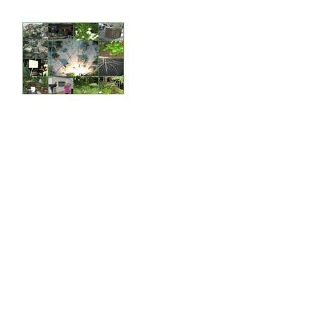 Test | PDF