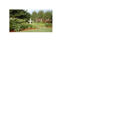 Test | PDF