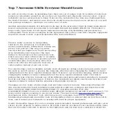 Top 7 Awesome Skills Everyone Should Learn