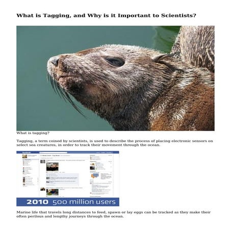 What is Tagging, and Why is it Important to Scientists? | PDF