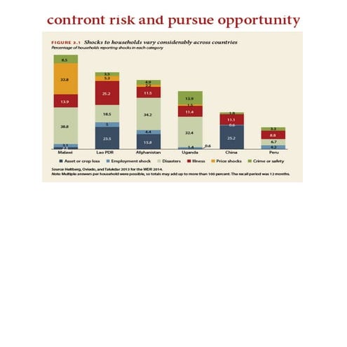 Confront Risk and pursue Opportunities | PDF