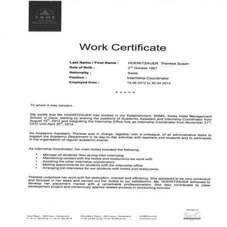 Work Cert - SEG | PDF