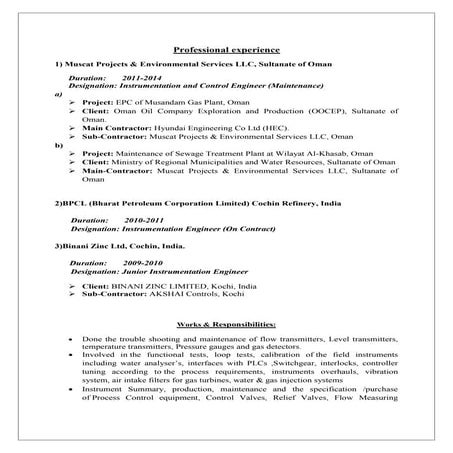 Professional Experience | PDF | Business | Business and Finance