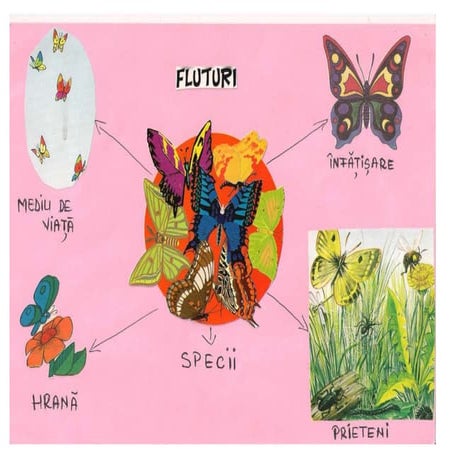 146555805 harti-pentru-proiecte-tematice-cu-tema-insecte | DOC