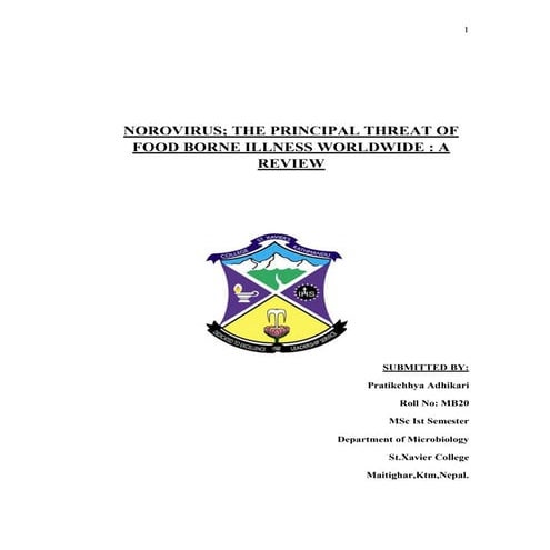 Review Article on Norovirus | PDF