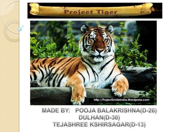 Tiger-project for High School Students | PPTX | Zoos & Aquariums ...