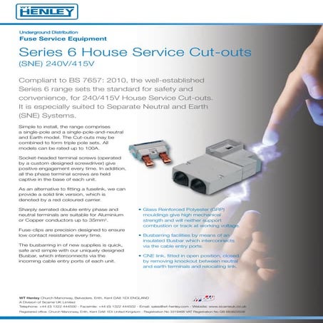 WT Henley 54142-07 House Service Cutouts - Series 6, 100Amp, Single ...