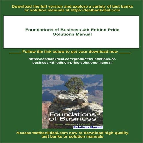 Foundations of Business 4th Edition Pride Solutions Manual | PDF