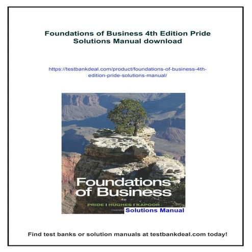 Foundations of Business 4th Edition Pride Solutions Manual | PDF