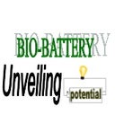 14772908-Bio-Battery.ppt