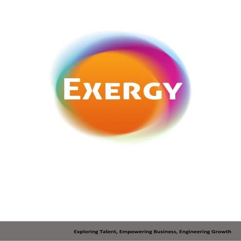 Exergy - Company Brochure | PDF