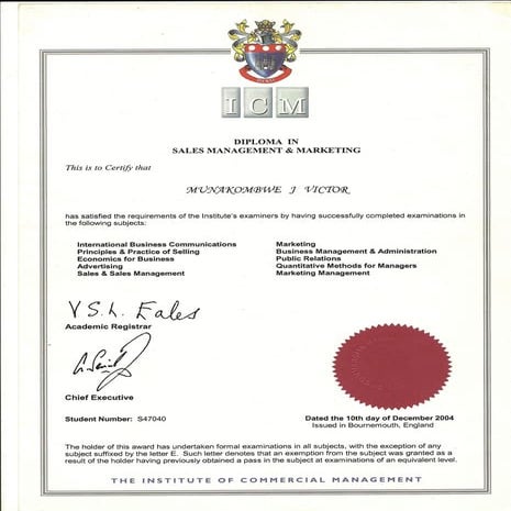 Marketing diploma | PDF