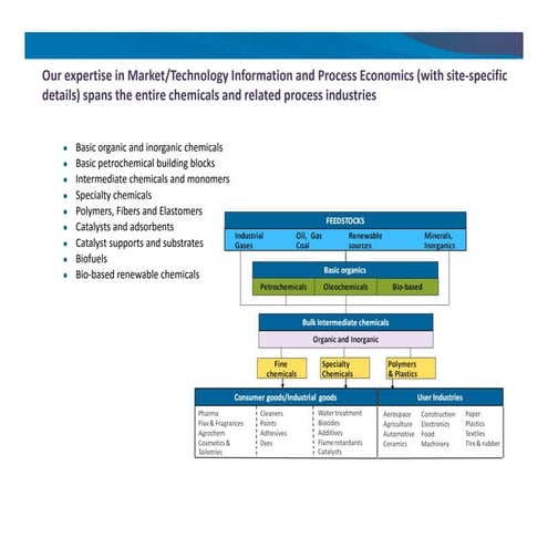 Our expertise in Chemical and Related Process Industries | PDF ...
