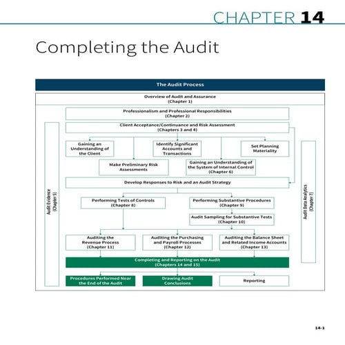 14 Audit.pdf
