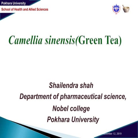 14 camellia sinensis(green tea) | PPTX