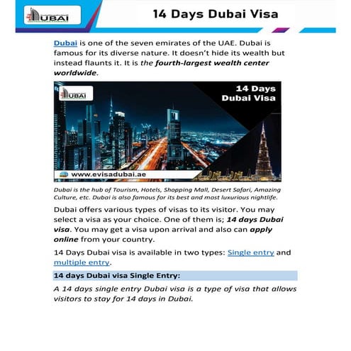 Dubai Visa Rejection | PDF