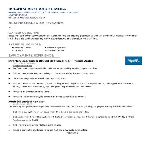 Ibrahim Adel CV | PDF