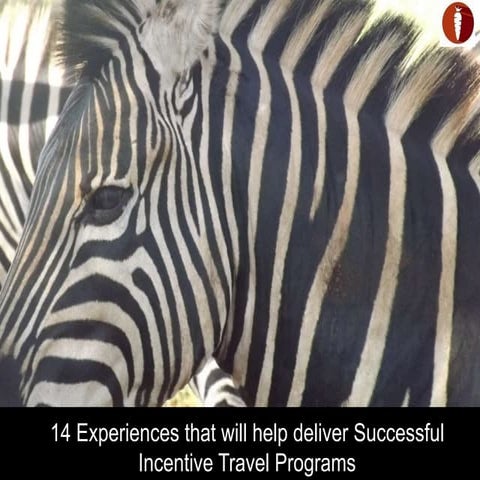 14 experiences successful incentive travel program | PPT