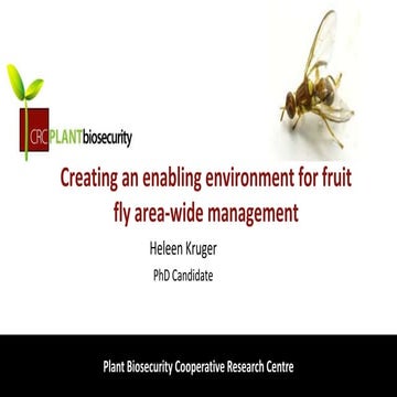 Creating an enabling environment for fruit fly area-wide management | PPT