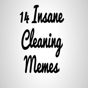 14 insane cleaning memes | PDF