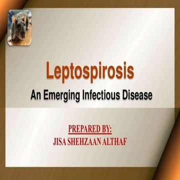 The Global Leptospirosis Environmental Action Network: Strengthening ...