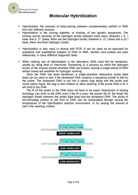 Radioactive and Non- radioactive probes | PPTX