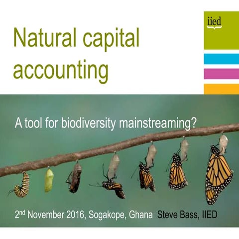Natural capital accounting: a tool for biodiversity mainstreaming? | PPTX