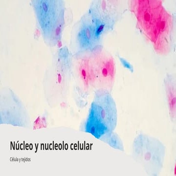 Componentes de la célula Núcleo y nucleolo celular.pptx