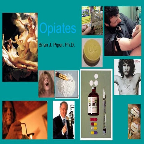 Neuropharmacology: Opiates | PPT