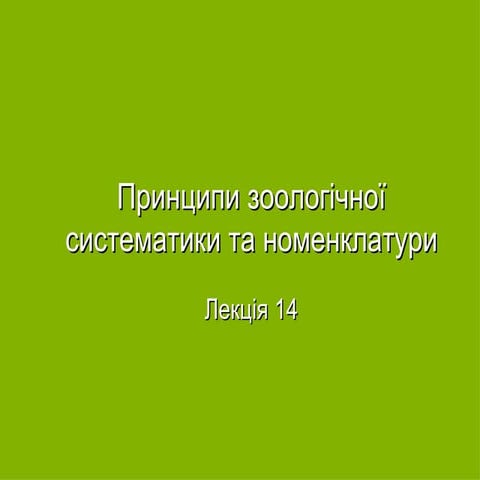 лекция 14 phylo | PPT