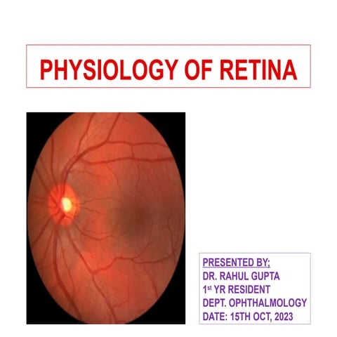 Physiology Of Retina in ophthalmology.pptx | Eye and Vision Conditions | Diseases and Conditions